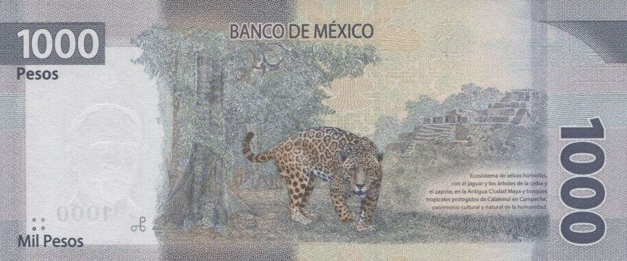 RealBanknotes.com > Mexico p134b: 1000 Pesos from 2021